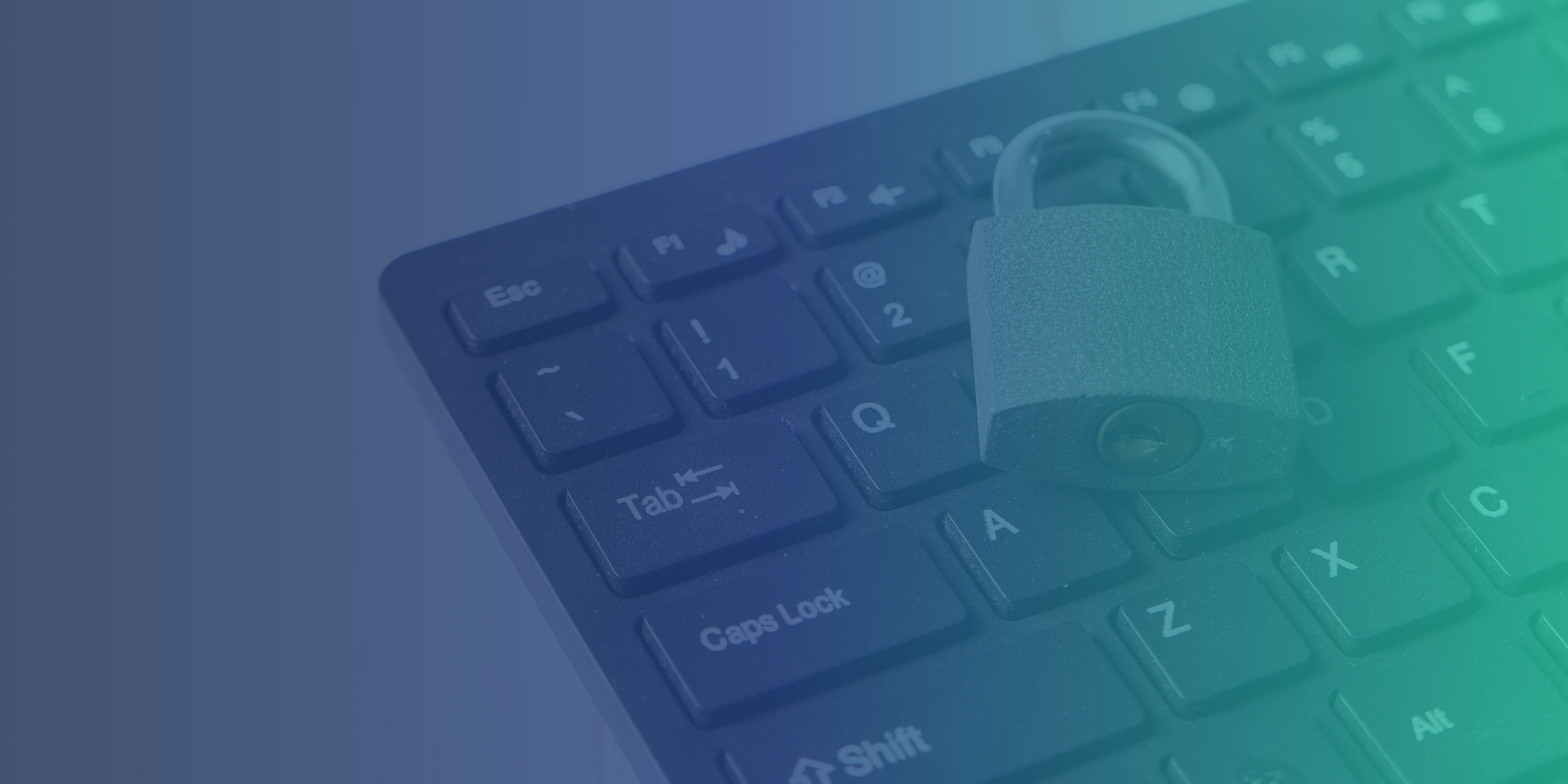 Enhancing Cybersecurity through SBOMs with sbom.sh