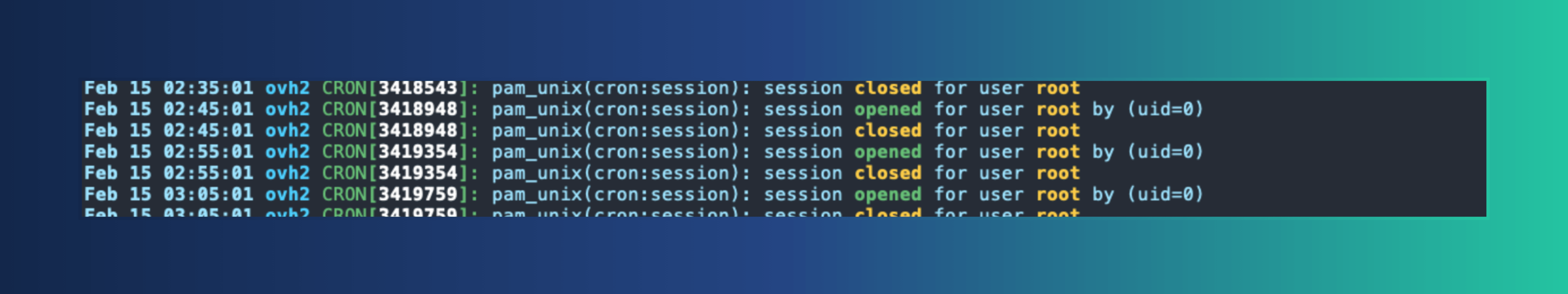 Enhance Your Linux Server Governance with the ccze Command