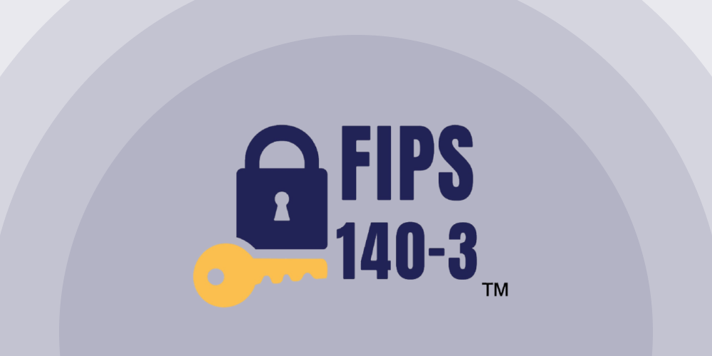 FIPS 140-3: The Cryptographic Backbone for PCI-Compliant E-Commerce Sites